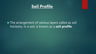 Soil | PPTX