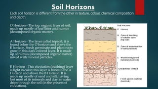 Soil | PPT