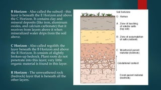 Soil | PPTX