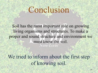 Soil | PPTX | Gardening | Home & Garden