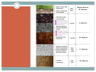 Soil and its type ppt | PPTX
