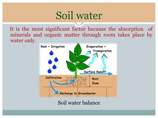 Soil and its type ppt | PPTX