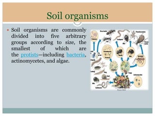 Soil and its type ppt | PPTX