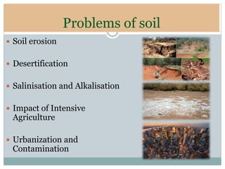 Soil and its type ppt | PPTX