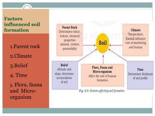 Soil and its type ppt | PPTX