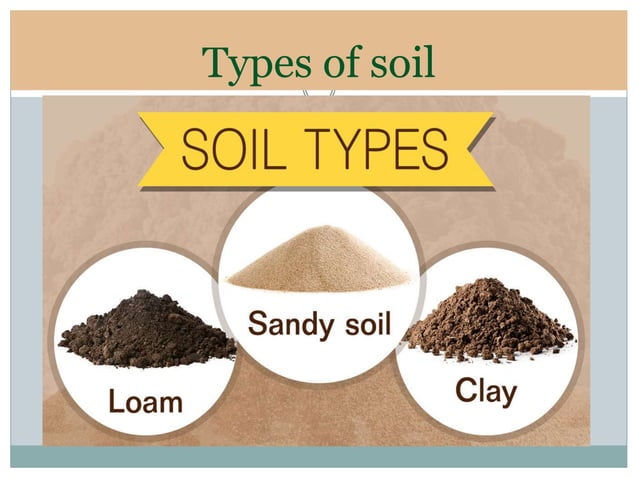 Soil and its type ppt | PPT