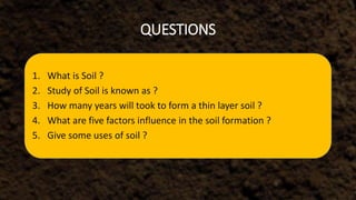 Soil | PPTX