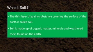 Soil | PPTX