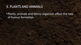 Soil | PPTX