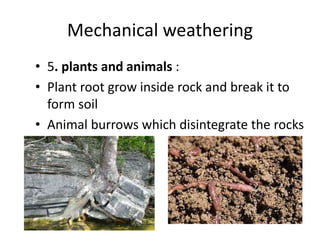Soil formation by weathering by Tasssanam Naz | PPT