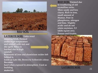 Soil | PPTX