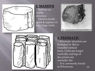 Soil | PPTX