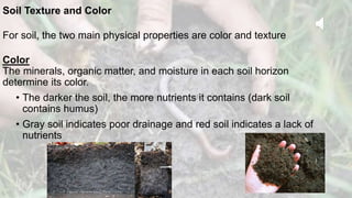 Soil | PPT
