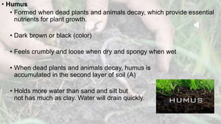 Soil | PPT