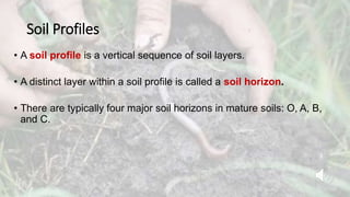 Soil | PPT