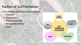 Soil | PPT