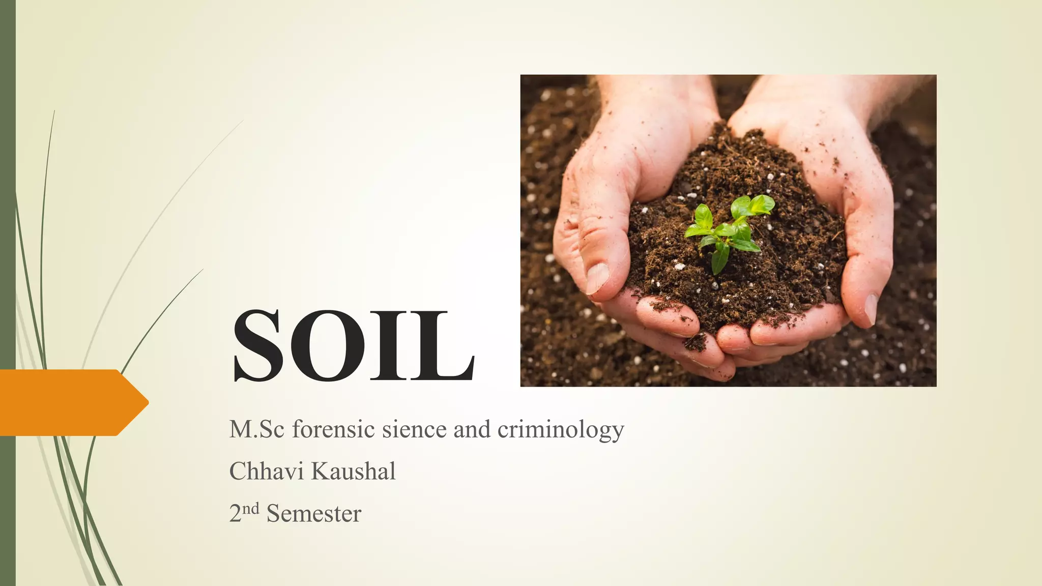 FORENSIC EXAMINATION OF Soil | PDF