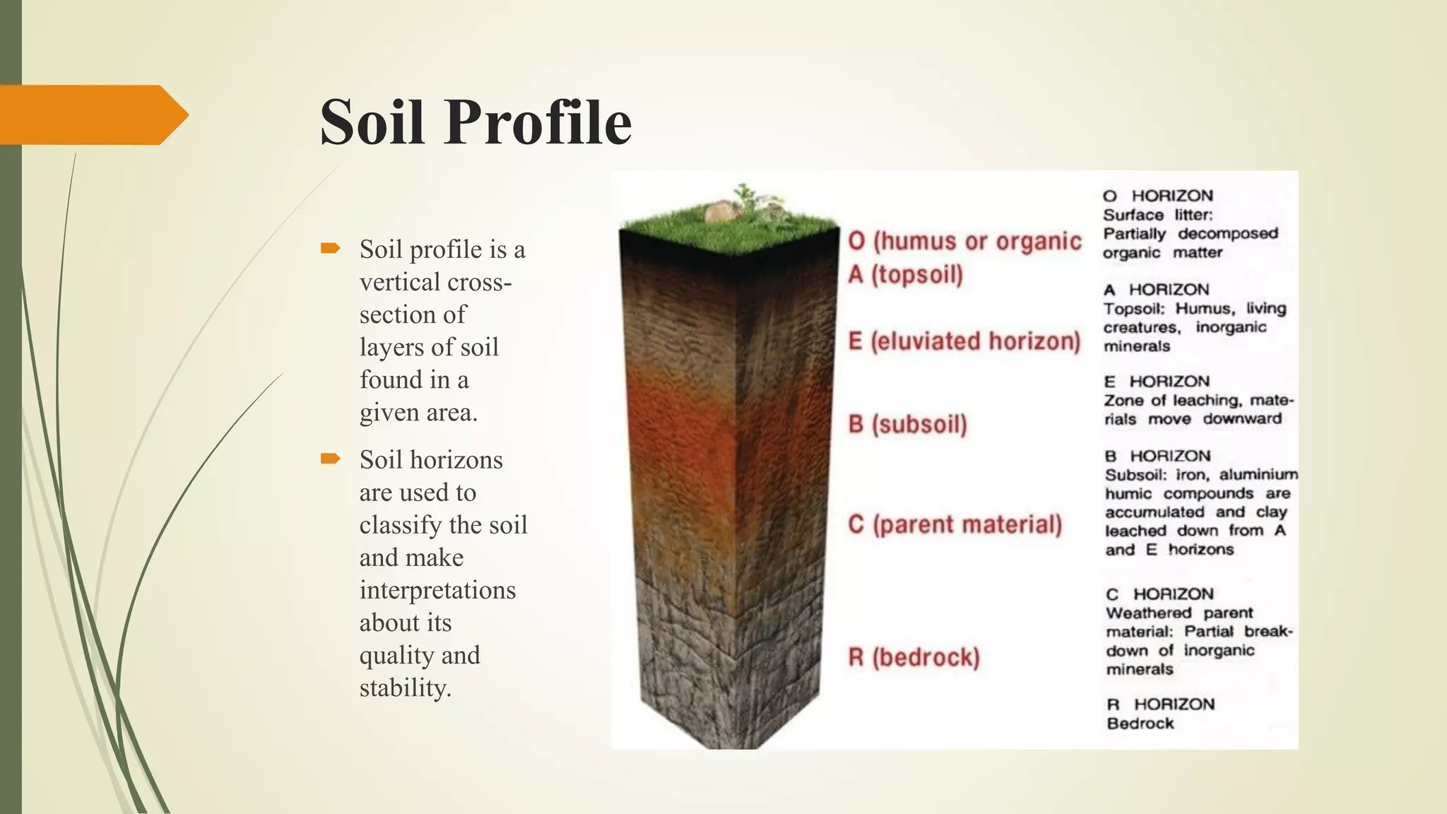 FORENSIC EXAMINATION OF Soil | PDF