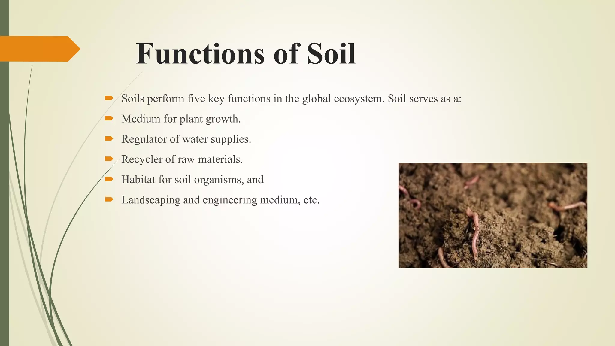 FORENSIC EXAMINATION OF Soil | PDF