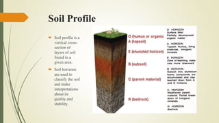FORENSIC EXAMINATION OF Soil | PDF
