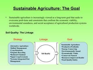 Soil quality | PPT