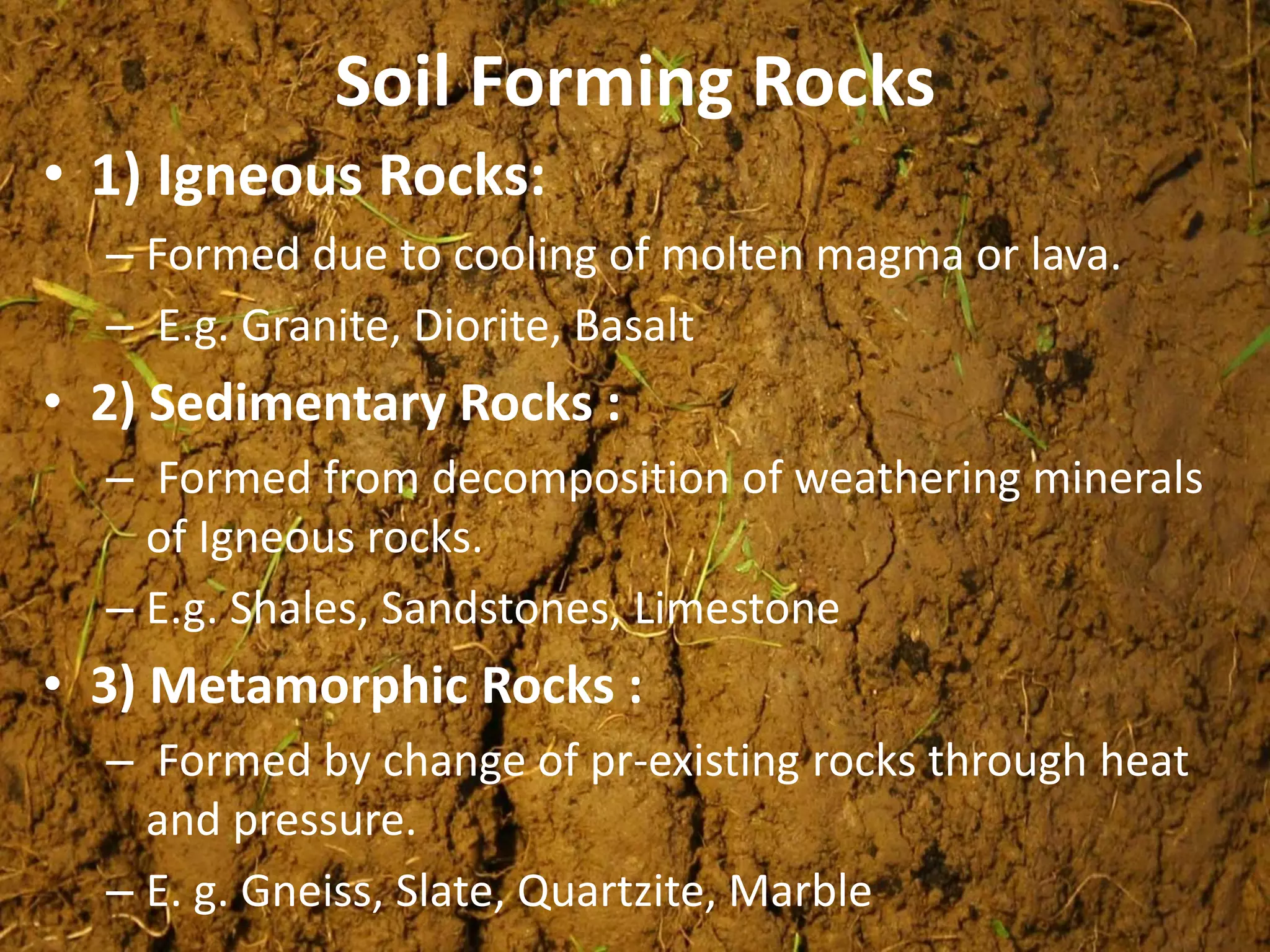 Edaphic Factor | PDF