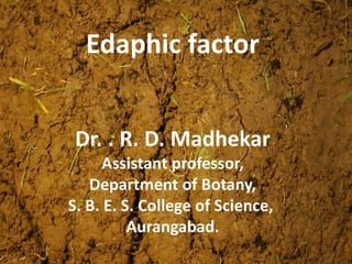 Edaphic Factor | PPT