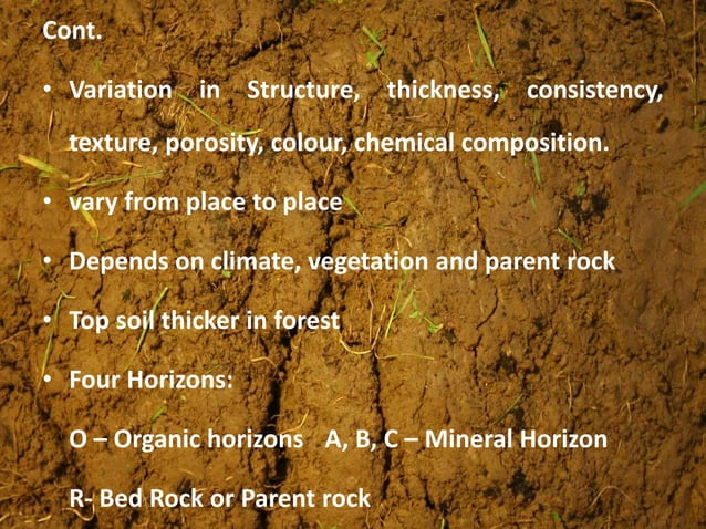 Edaphic Factor | PDF