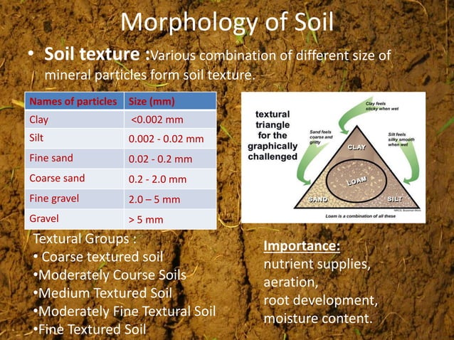 Edaphic Factor | PDF