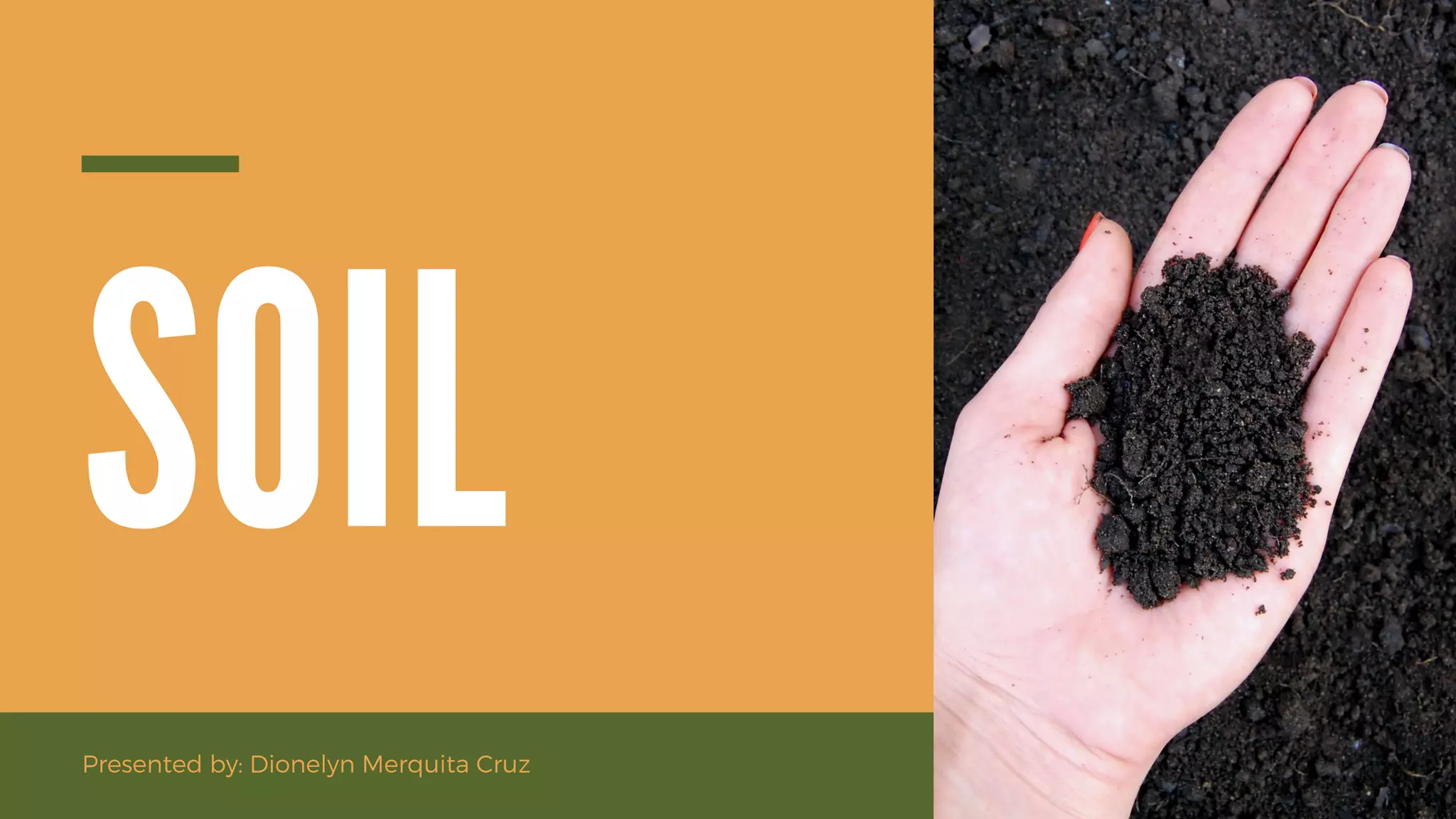 Soil | PPT