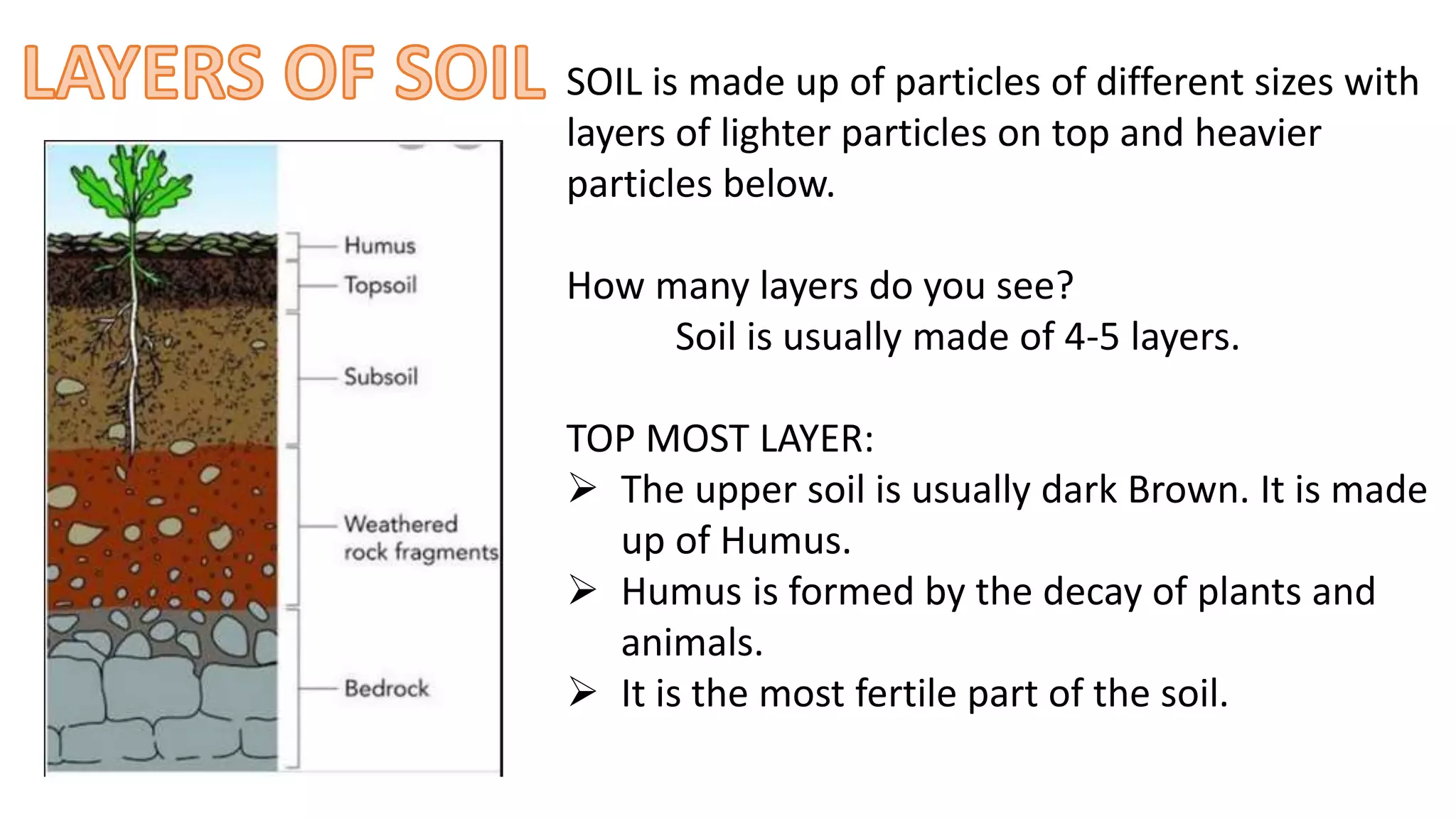 Grade 3 Soil | PPTX