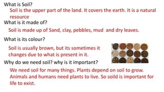 Grade 3 Soil | PPTX