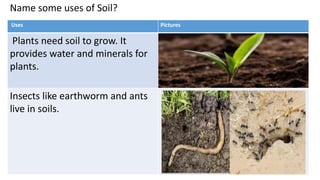 Grade 3 Soil | PPTX