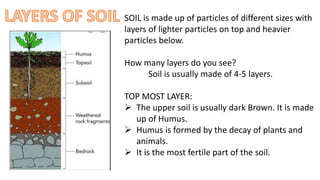 Grade 3 Soil | PPTX