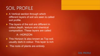 Soil | Class 7 | PPTX