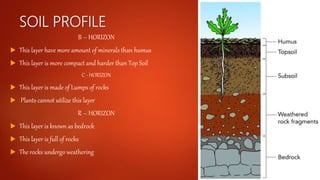 Soil | Class 7 | PPTX