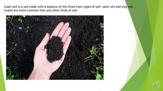 Types of soil | PPTX