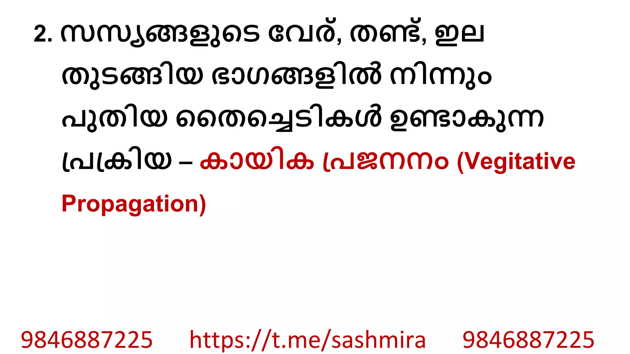 Soil аґ аґјаµќаґјаґїаµѕ аґєаµљаґёаµќаґёаµќ аґµаґїаґіаґїаґїаґ аµќаґ аґѕаґ Pptx