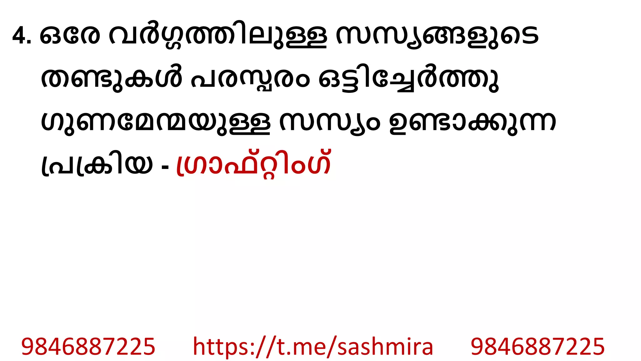 Soil аґ аґјаµќаґјаґїаµѕ аґєаµљаґёаµќаґёаµќ аґµаґїаґіаґїаґїаґ аµќаґ аґѕаґ Pptx
