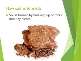 SOIL.ppt