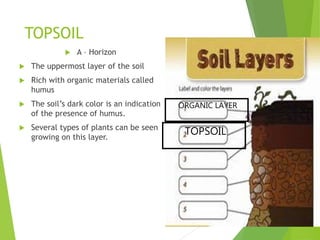 SOIL.ppt
