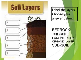 SOIL.ppt
