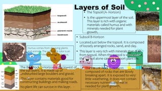 soil.pptx