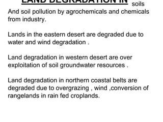 SOIL.docx | Indoor Environmental Quality | Home & Garden