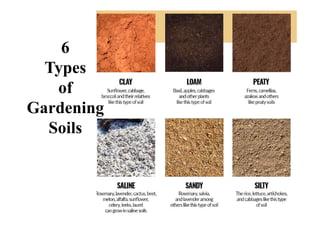 Soil, Soil Photos and soil about information | PPT