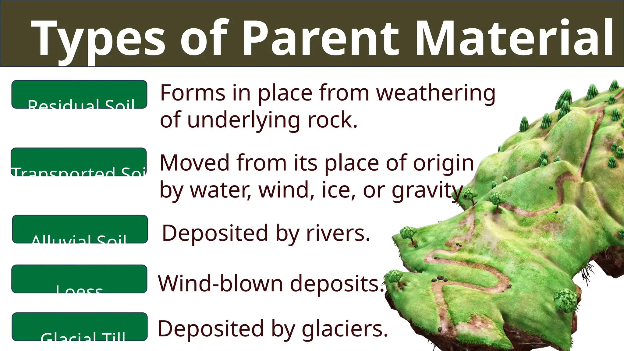 Soil in horizon 6 layers Exploring-Soil-Horizons--Earth-s-Underground ...