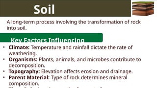 Soil in horizon 6 layers Exploring-Soil-Horizons--Earth-s-Underground ...