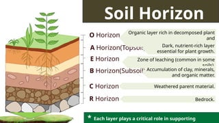 Soil in horizon 6 layers Exploring-Soil-Horizons--Earth-s-Underground ...