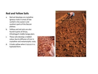 Soil As A Resource | PPT