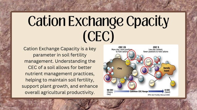 SOIL-CHEMISTRY-GROUP-...................... | PPT